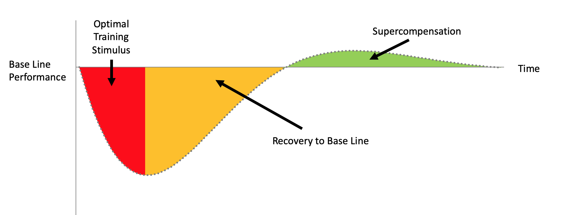 Supercompensating with Strava – Science4Performance