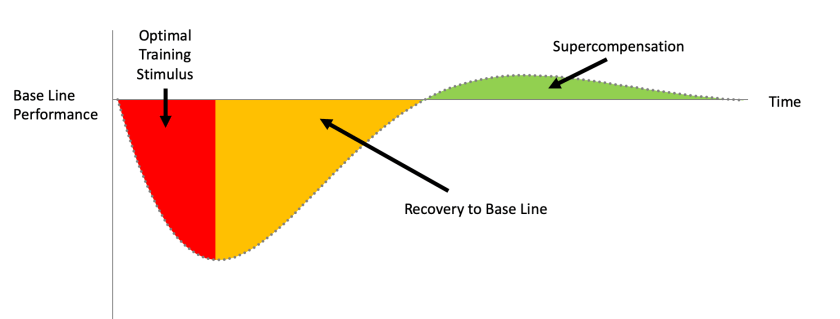 Supercompensating with Strava – Science4Performance