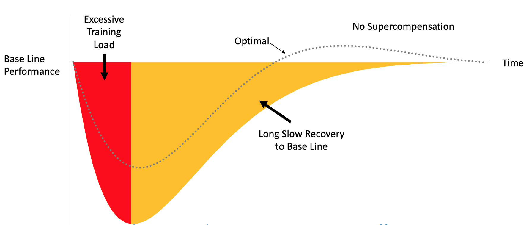 Supercompensating with Strava – Science4Performance