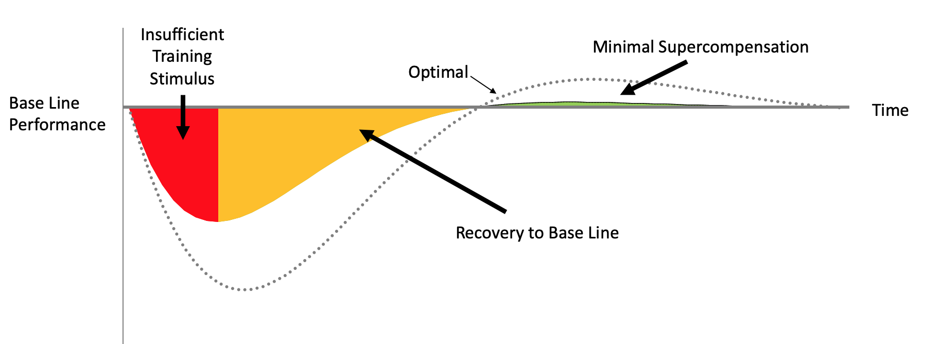 Supercompensating with Strava – Science4Performance