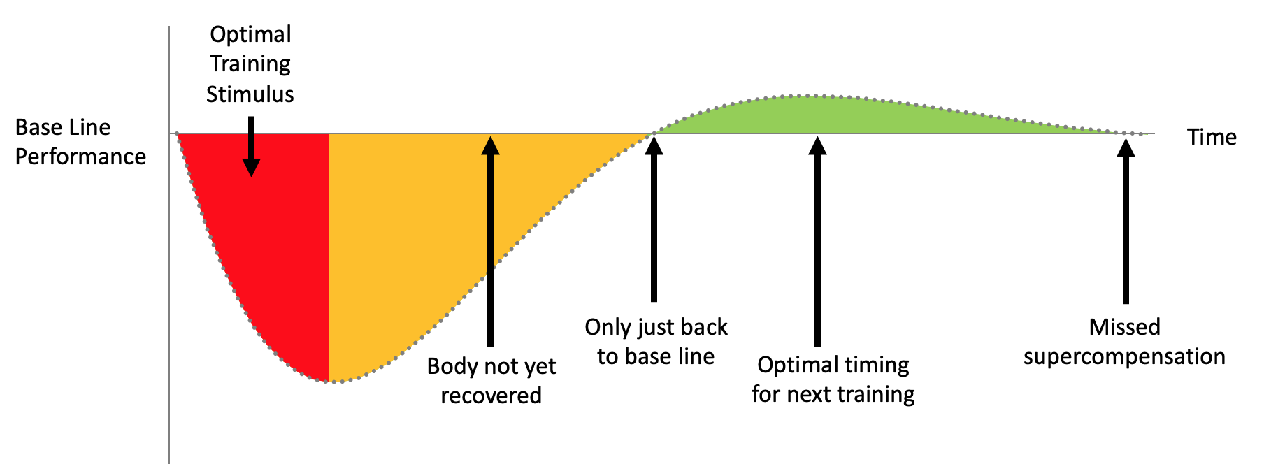 Supercompensating with Strava – Science4Performance