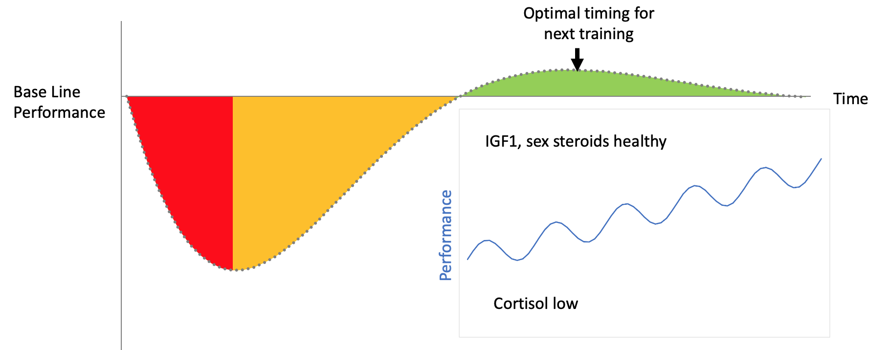 Supercompensating with Strava – Science4Performance